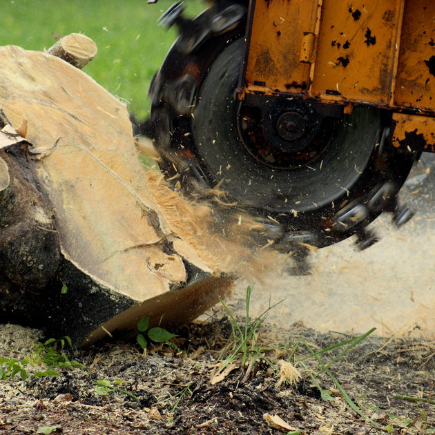 Safety Precautions When Using Skid Steer Stump Grinders